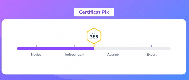 PIX, de la découverte à la certification - Collège Weiler